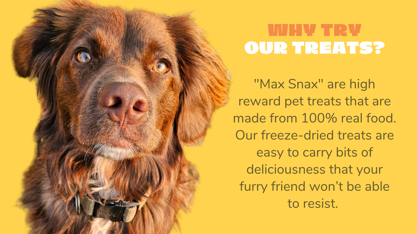 Max Snax